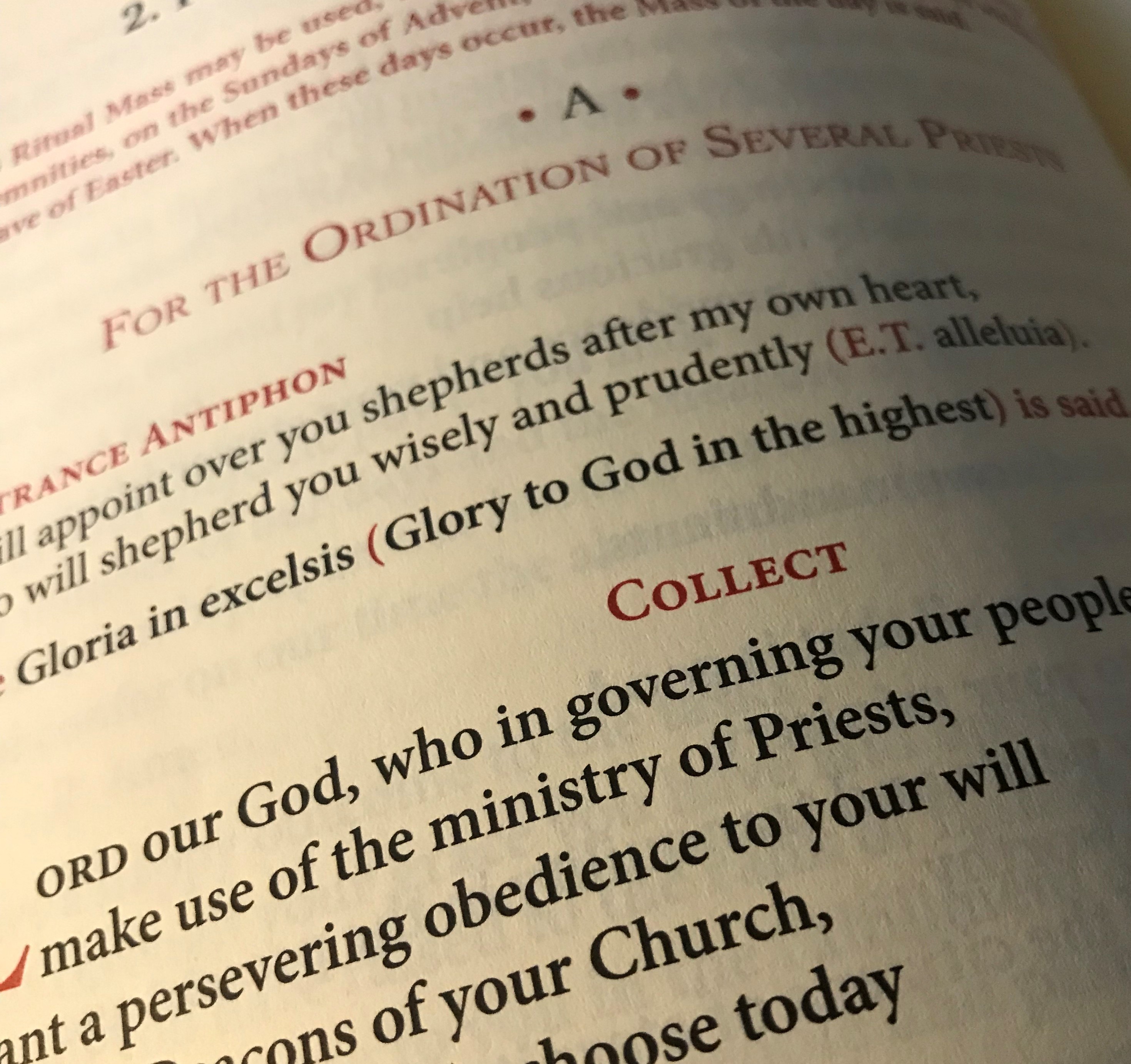 Preaching and Obedience - Fr. Joshua Whitfield