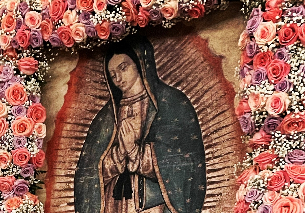Homily: New Juan Diegos - Fr. Joshua Whitfield