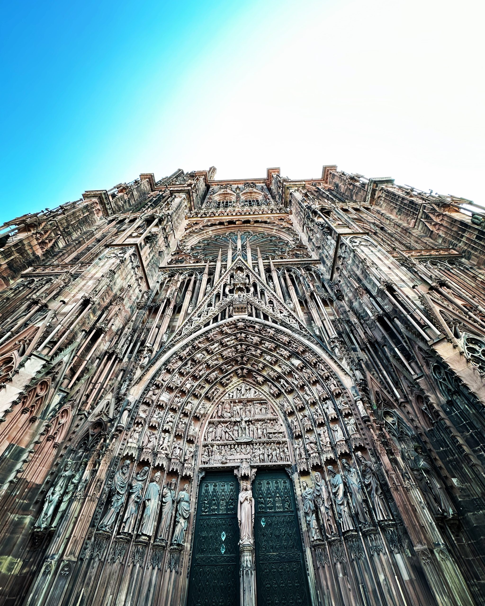 Homily: The Cathedral Provokes a Contemptuous World - Fr. Joshua Whitfield
