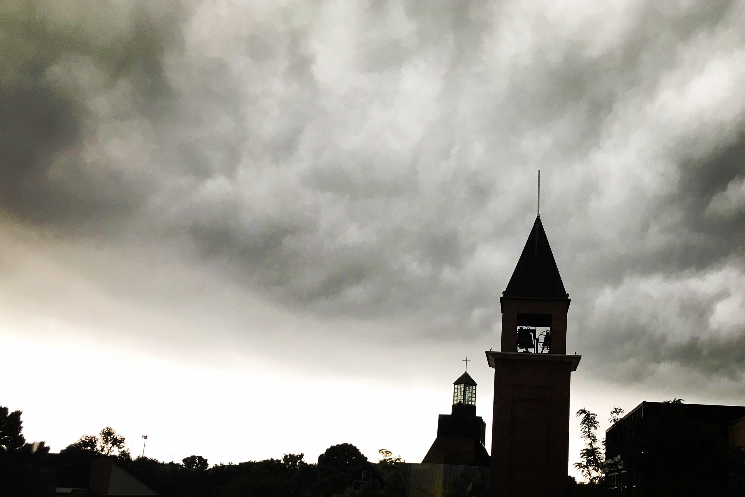 Homily: The Good of the Parish - Fr. Joshua Whitfield