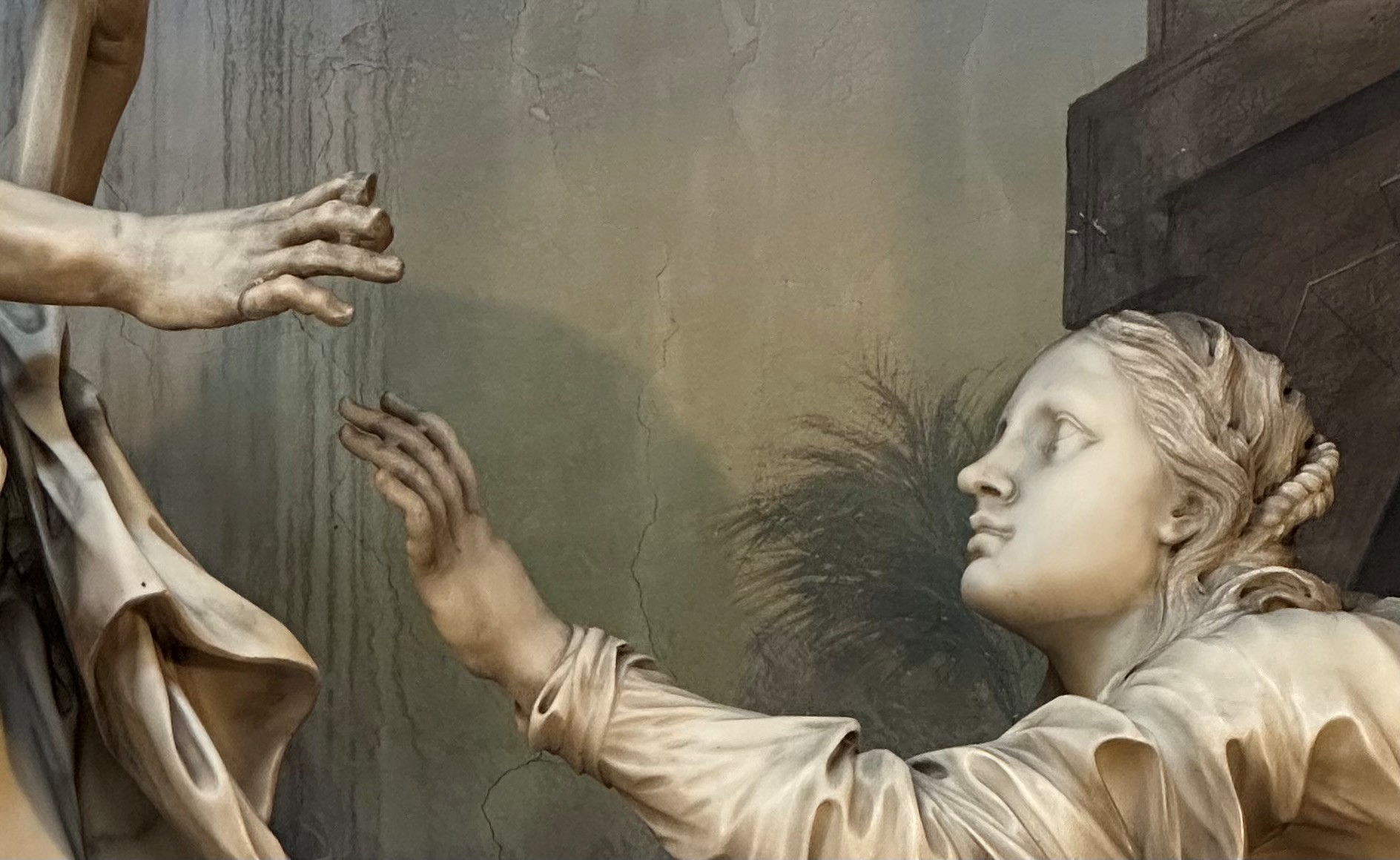 Homily: Gentleness and Truth - Fr. Joshua Whitfield