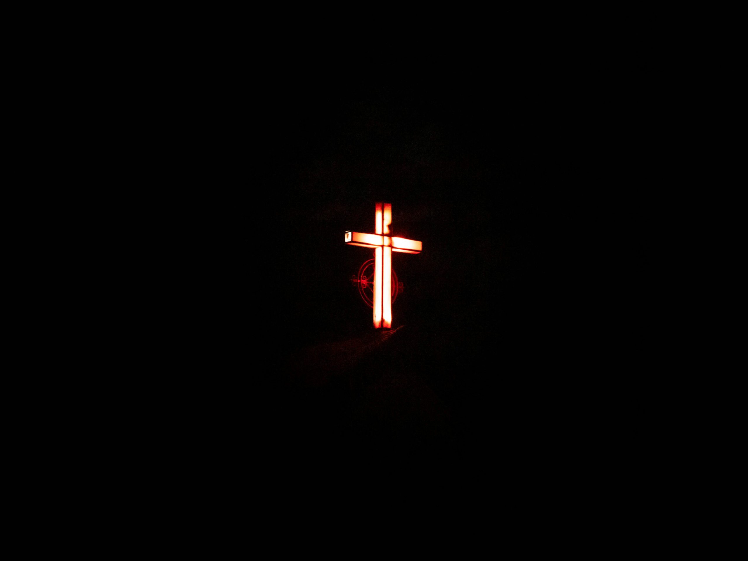 Homily: You Are Light - Fr. Joshua Whitfield